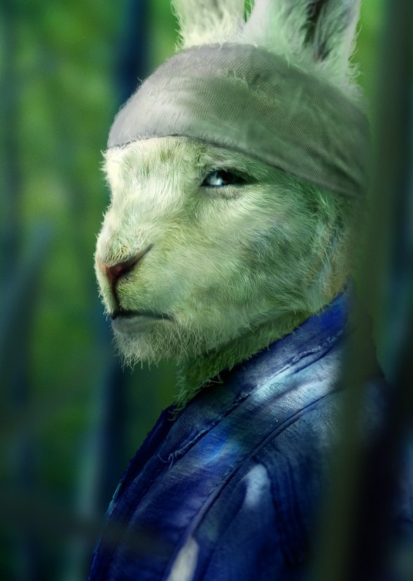 Samurai Rabbit (TMNTCU Phase 1, Movie 2) Fan Casting on myCast