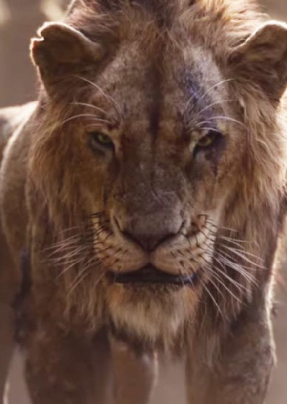 Scar Fan Casting on myCast