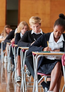 Stalbridge CE Primary School Fan Casting