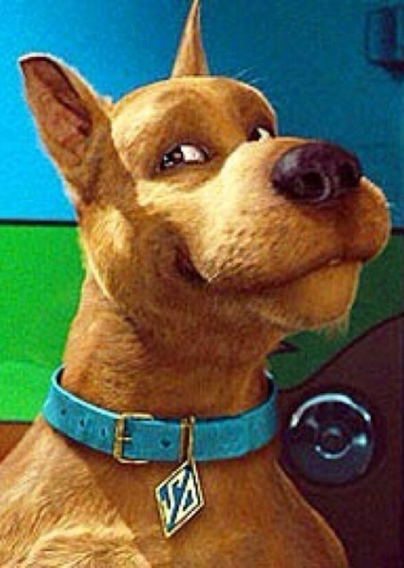 Scooby Doo 3 Fan Casting on myCast