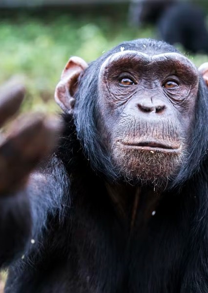 Tara Fan Casting for Black Candy | myCast - Fan Casting Your Favorite ...