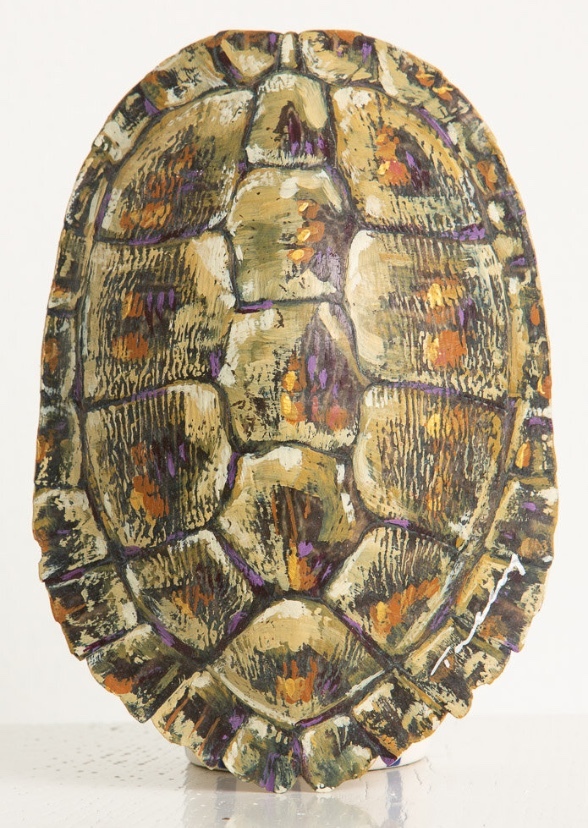 Shells Fan Casting on myCast