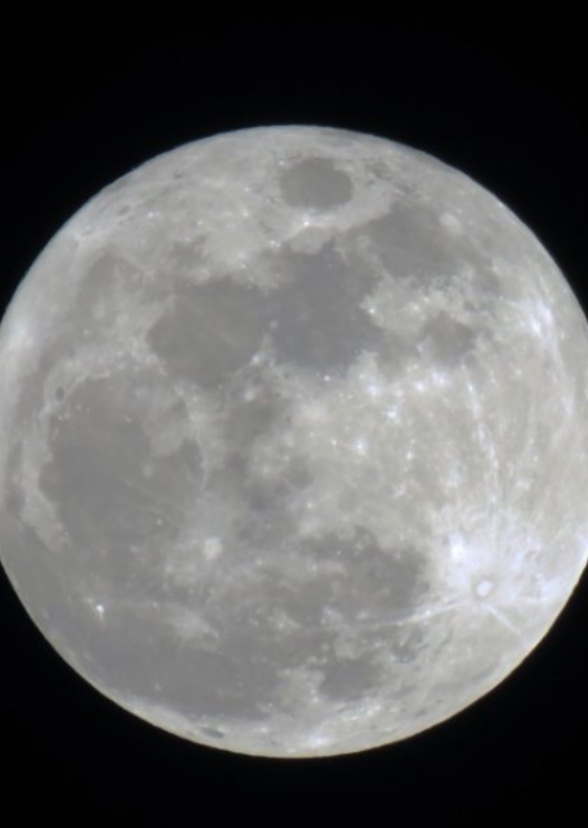 Sonic Adventures in Equestria: Dark Gaia Rising Fan Casting on myCast