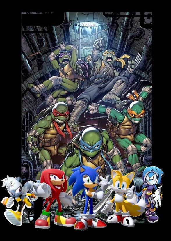 Sonic: Turtle Power Fan Casting on myCast