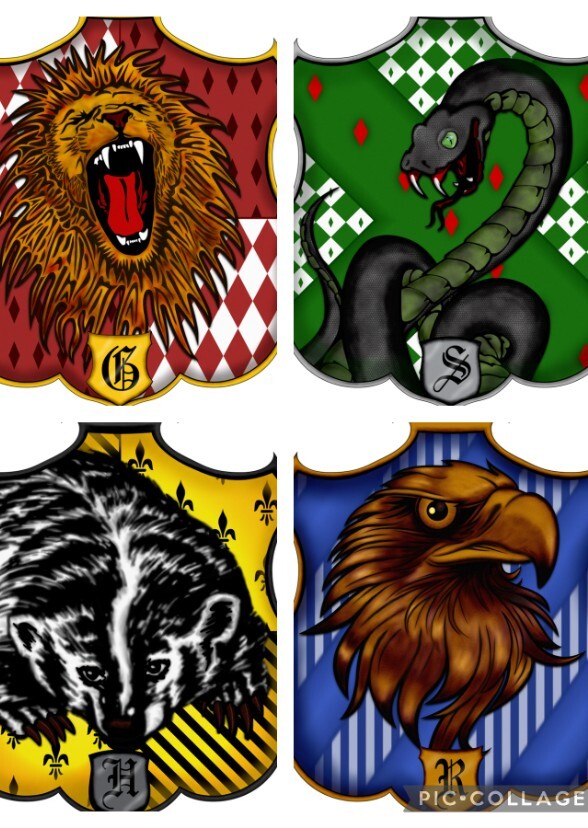 Sorting Fictional Characters into Hogwarts University Houses Fan ...