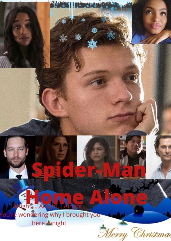 Spider-Man: Home Alone Fan Casting on myCast