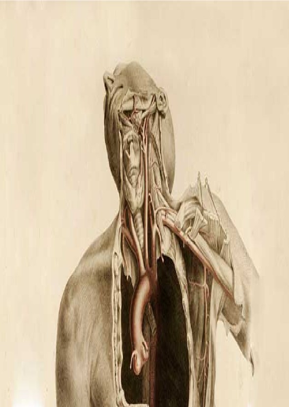 Splatterpunk Fan Casting on myCast