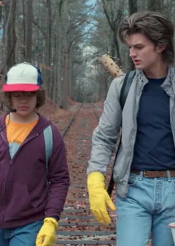 Steve And Dustin Stranger Things Spinoff Show (Season 1) Fan Casting on ...