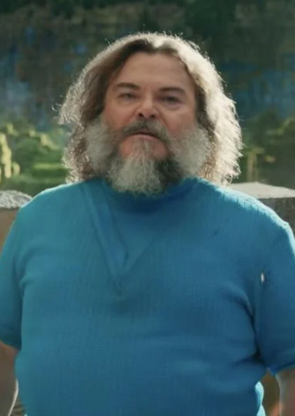 Fan Casting Seth Rogen as 2020s in Steve from The Minecraft Movie in ...