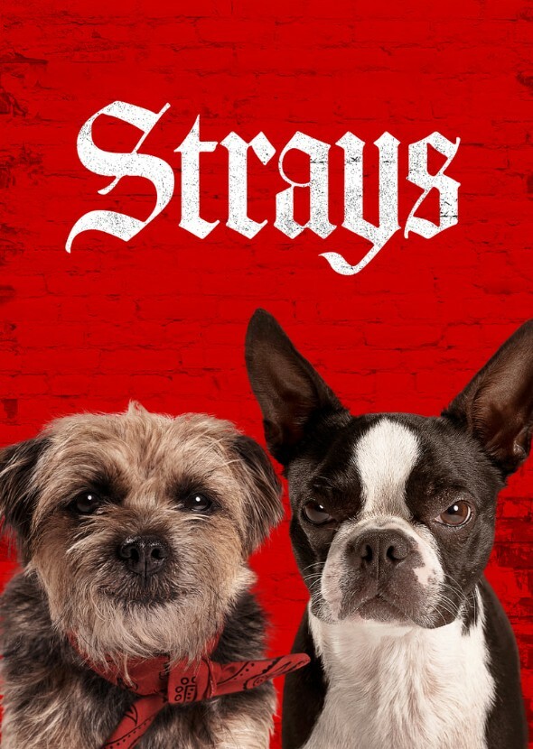 Strays 2: The Return Of The Dog Chatchers Fan Casting on myCast