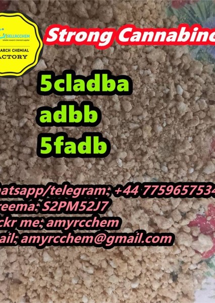 Trisha MacDonald Fan Casting for Killdozer (Based on a True Story ...