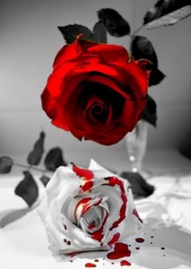 Will Patton on myCast - Fan Casting Your Favorite Stories