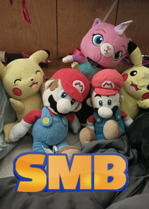 SUPERMARIOBEAST Fan Casting on myCast