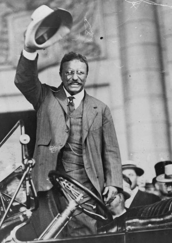 Teddy Fan Casting on myCast