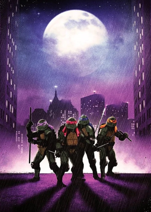 Teenage Mutant Ninja Turtles Fan Casting on myCast
