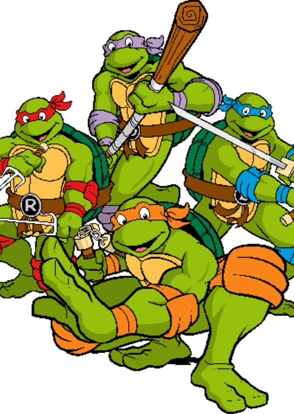 Master Splinter Fan Casting for Teenage Mutant Ninja Turtles: Heroes in ...