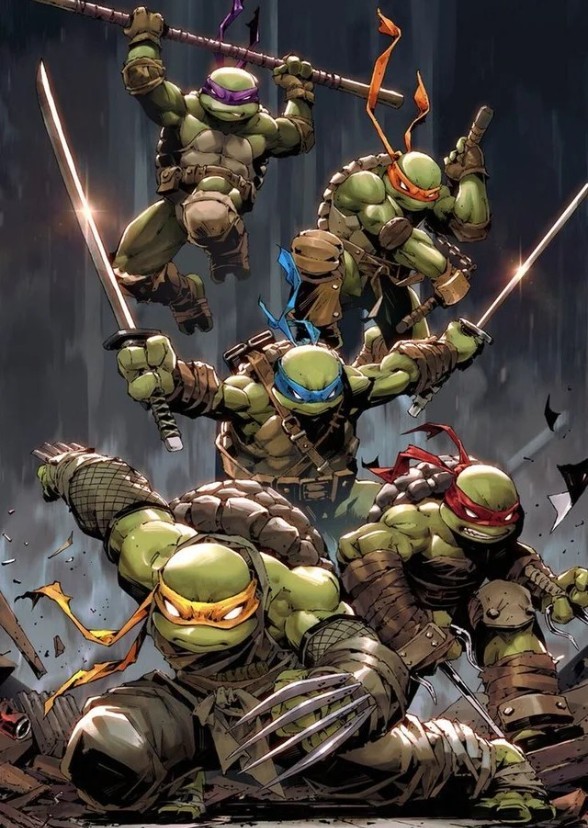 Teenage Mutant Ninja Turtles: The New Animated Series - Season 10 Fan ...