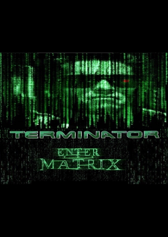 Terminator: Enter The Matrix Fan Casting on myCast