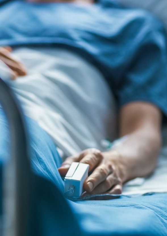 The 29 Fan Casting on myCast