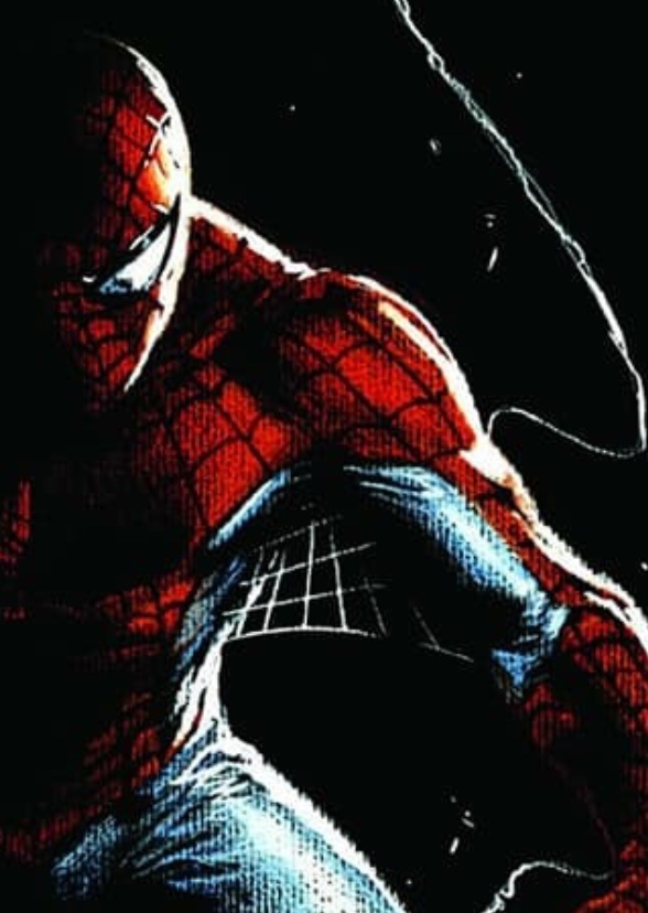 The Amazing Spider Man Fan Casting On Mycast