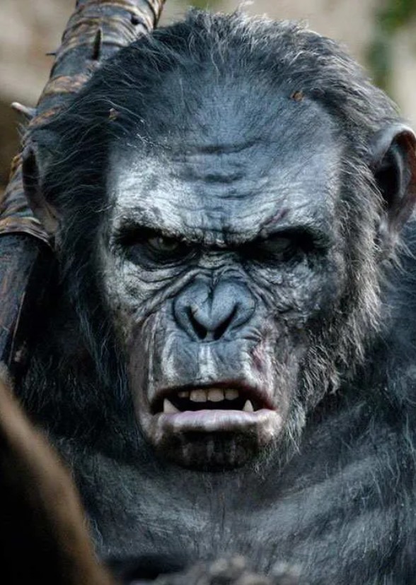 The Ape Man Fan Casting on myCast