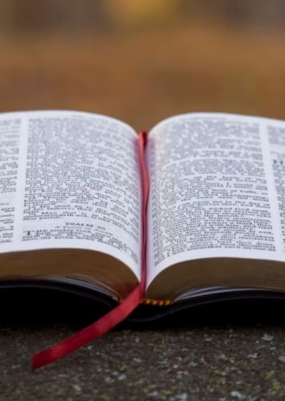 Find an Actor to Play James the son of Zebedee in the Bible on myCast