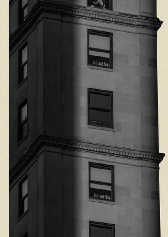 The child genius Fan Casting on myCast