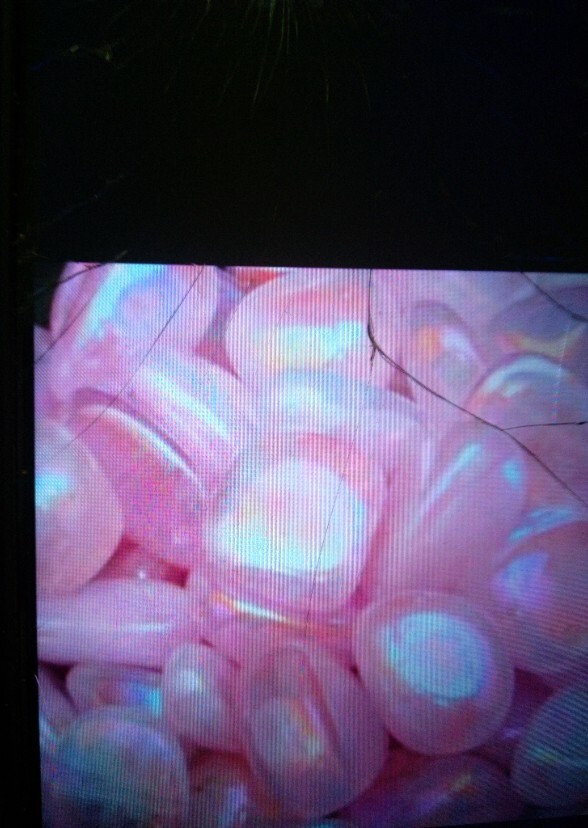 Jennifer Fan Casting for The Creator-Princess(Netflix TV Show/Series ...