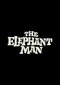 Invincible Fan Casting on myCast