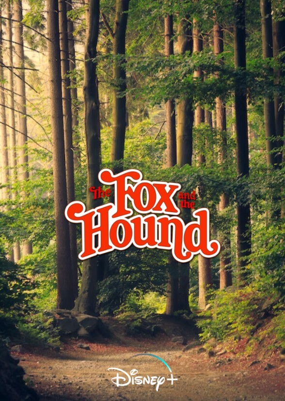 Fan Casting Tom Hanks as Boomer in The Fox And The Hound on myCast