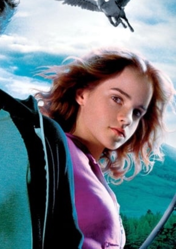 The Granger Family Fan Casting on myCast