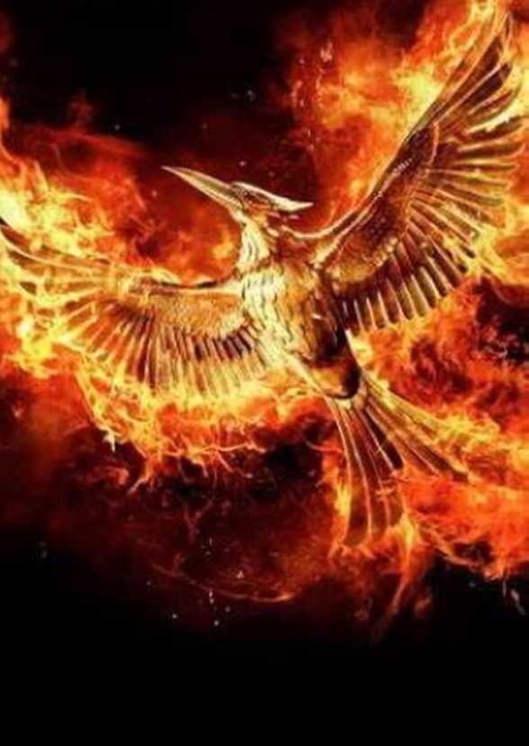 The Hunger Games: The First Quarter Quell Fan Casting on myCast