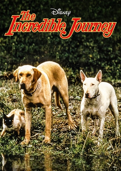 Barthello Fan Casting for Final Fantasy X | myCast - Fan Casting Your ...