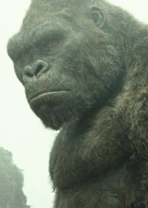 Minotaur Fan Casting