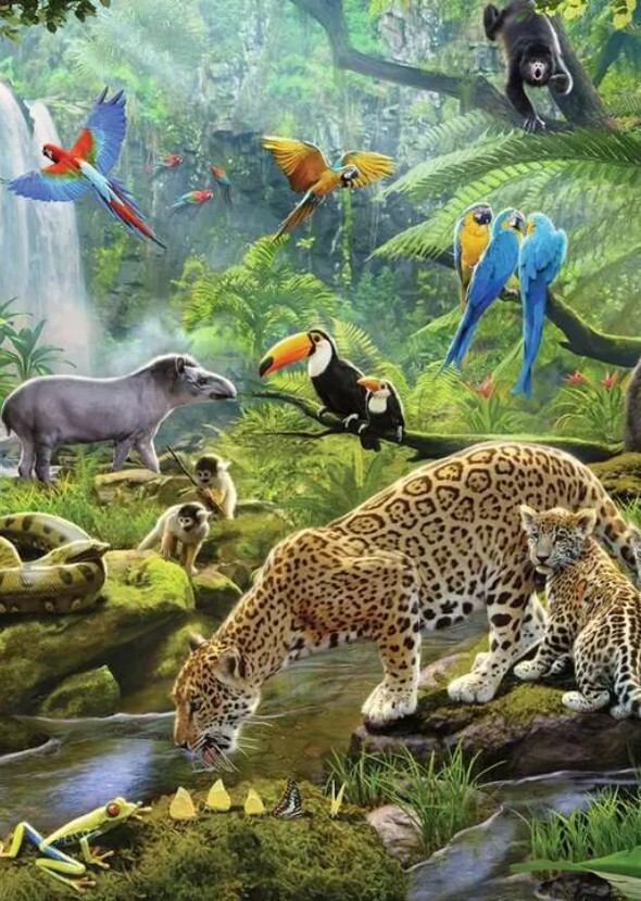 The Jungle Fan Casting on myCast