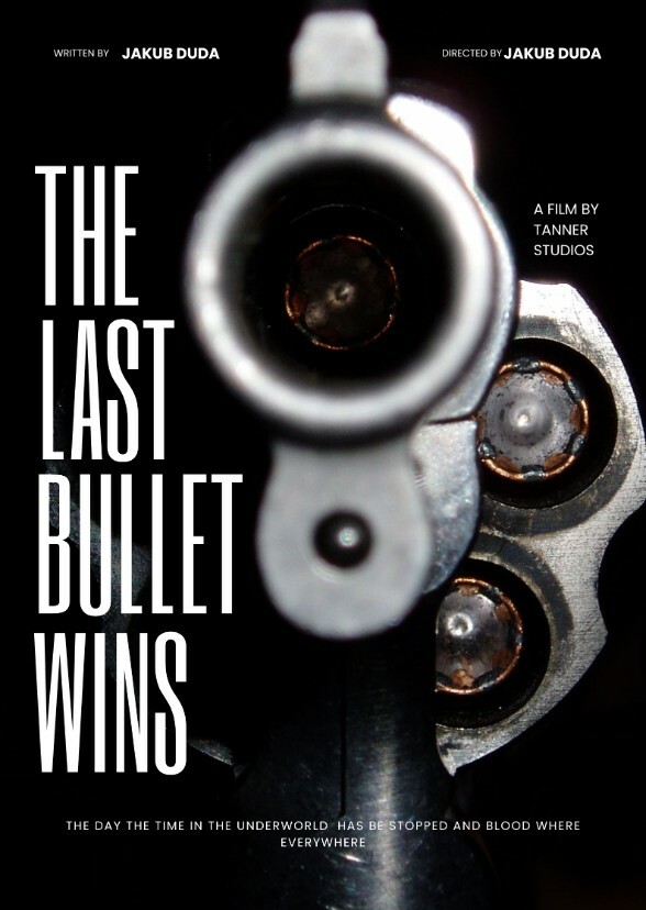 The Last Bullet Wins Fan Casting on myCast