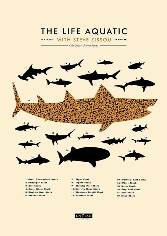 The Life Aquatic with Steve Zissou (2024) Fan Casting on myCast