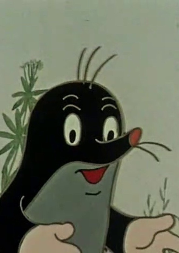 The Little Mole Fan Casting on myCast