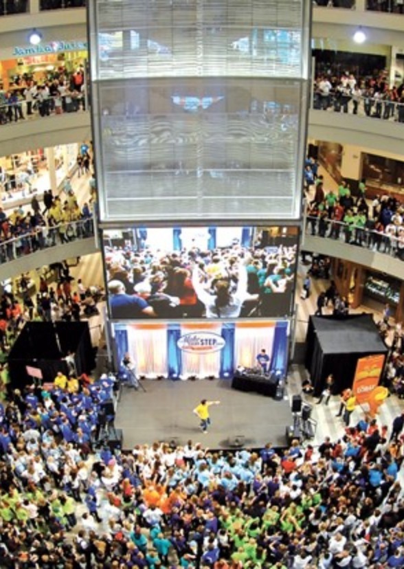 The Mall Fan Casting on myCast