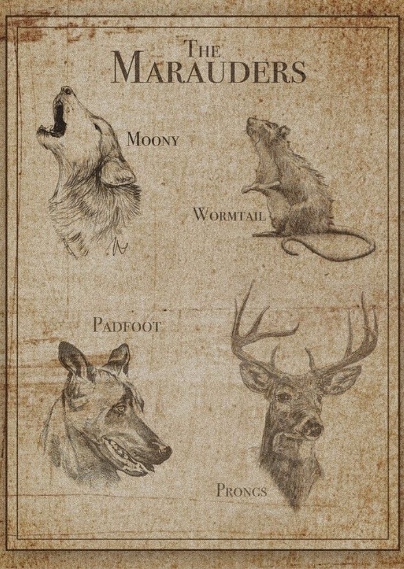 Find an Actor to Play Lyall Lupin in The Marauders on myCast