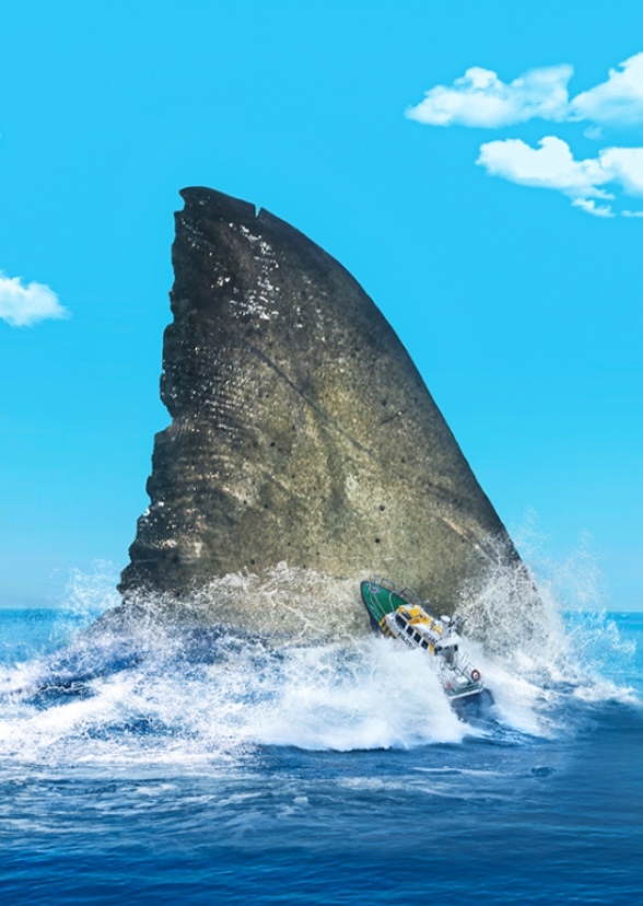 The Meg 3 Fan Casting on myCast