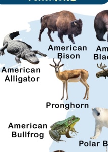 The Hunchback of Notre-Dame Fan Casting on myCast