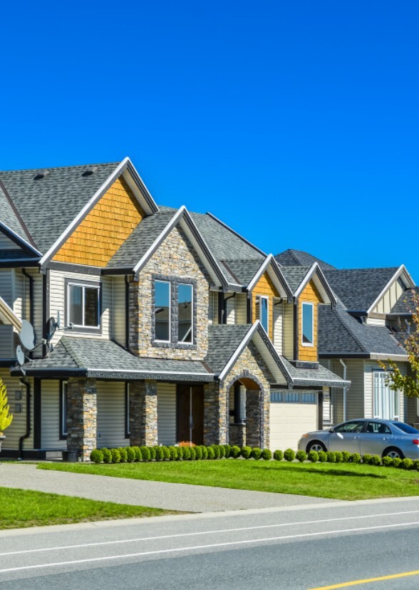 The Perfect Neighbourhood Fan Casting on myCast