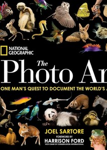 Pearl Scott Fan Casting for The New Mighty Morphin Power Rangers (2020 ...