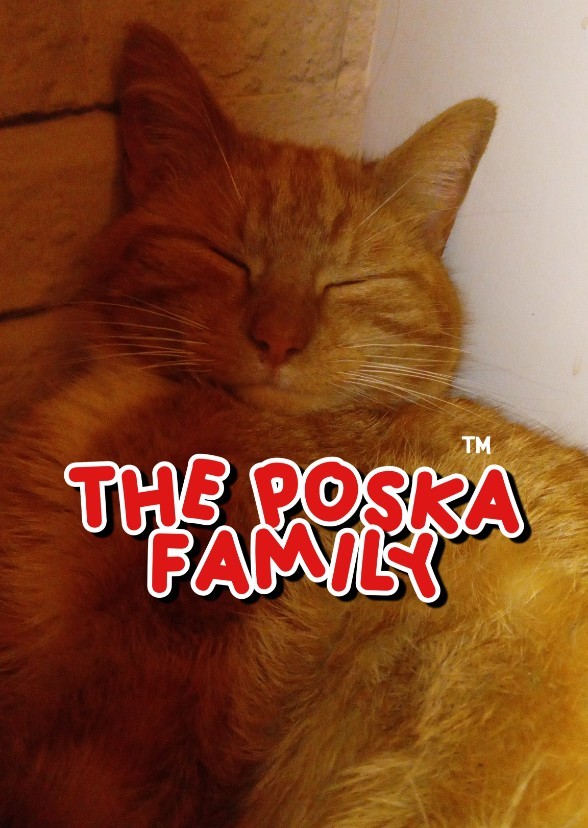 The Poska Family Fan Casting on myCast