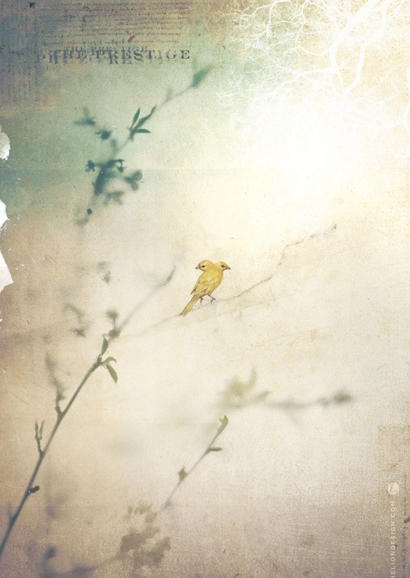 Alfred Borden / Bernard Fallon Fan Casting for The Prestige (2016 ...