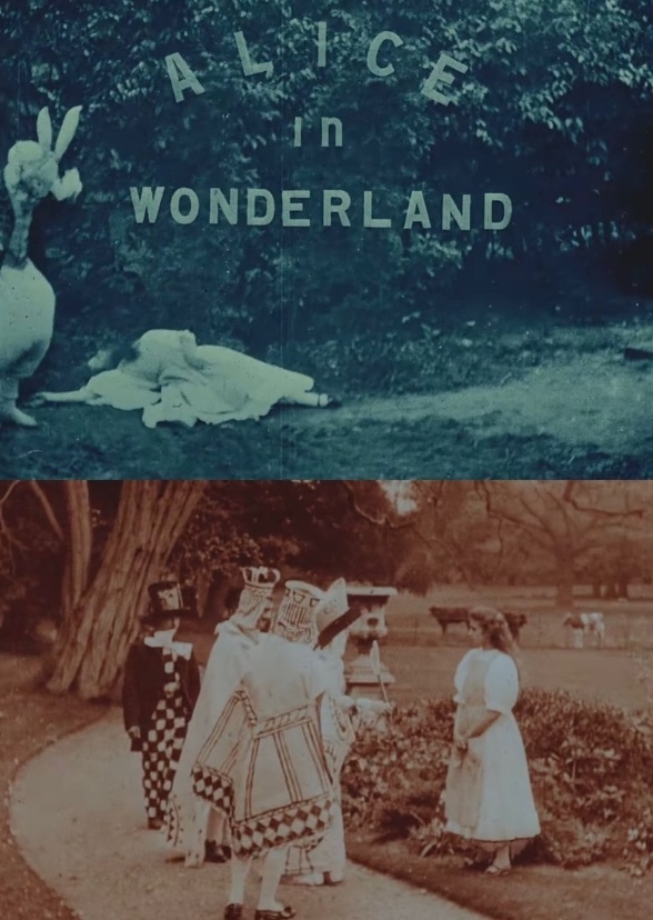 The Rabbit Hole Fan Casting on myCast