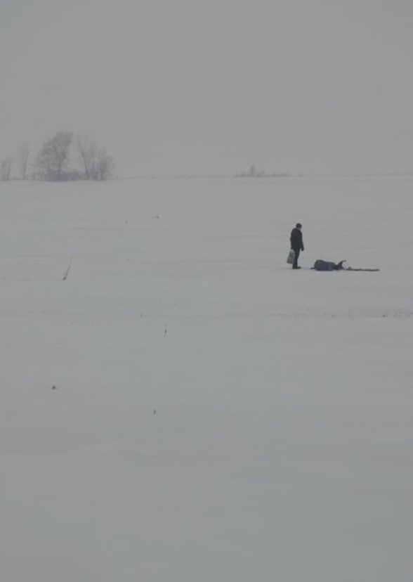 The Secret History (mini-series) Fan Casting on myCast