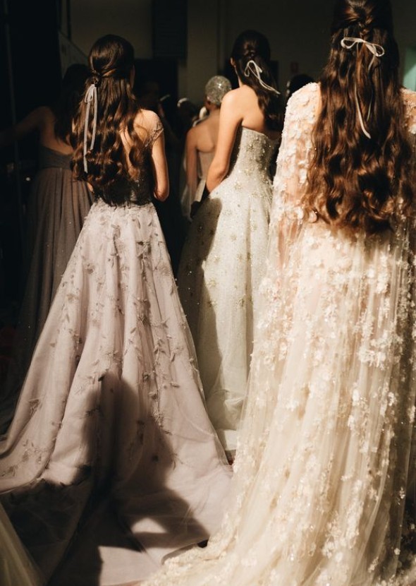 The Selection Fan Casting on myCast