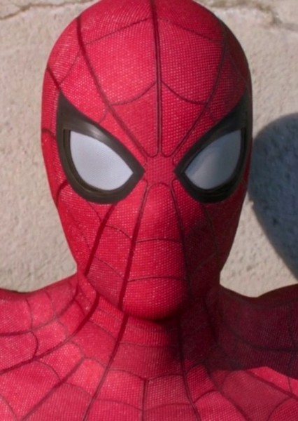 The Sensational Spider Man Season 1 Fan Casting On Mycast